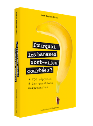 Pourquoi les bananes sont-elles courbées ? - + 250 réponses à des ...